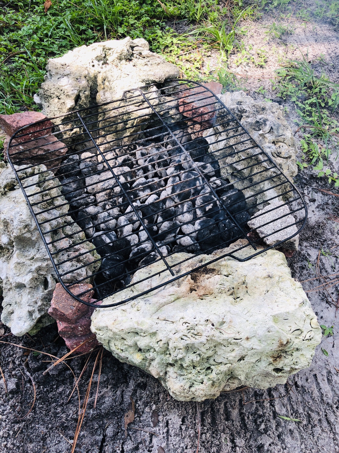Easy Backyard Fire Pit – House & Homestead