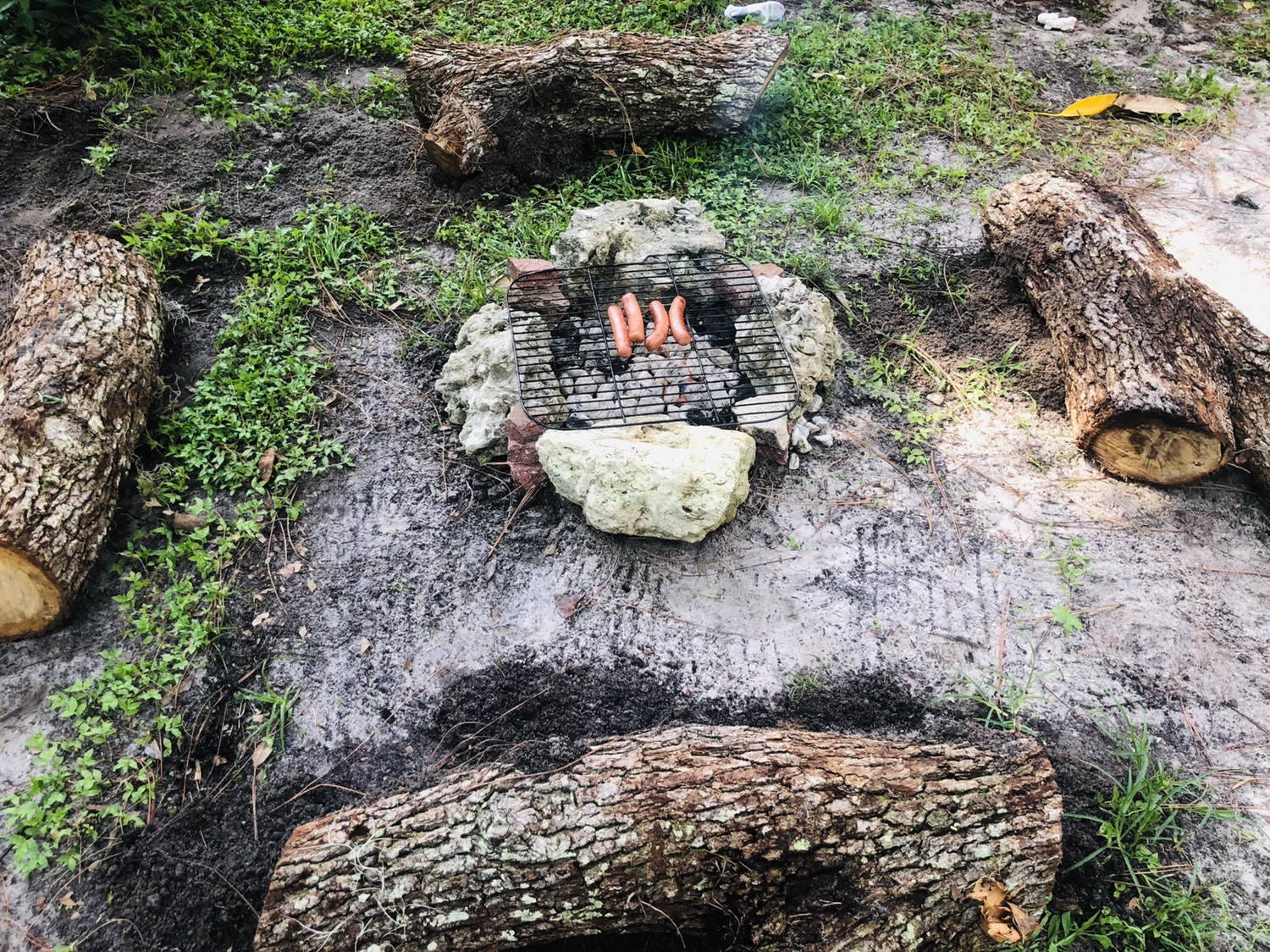Easy Backyard Fire Pit – House & Homestead