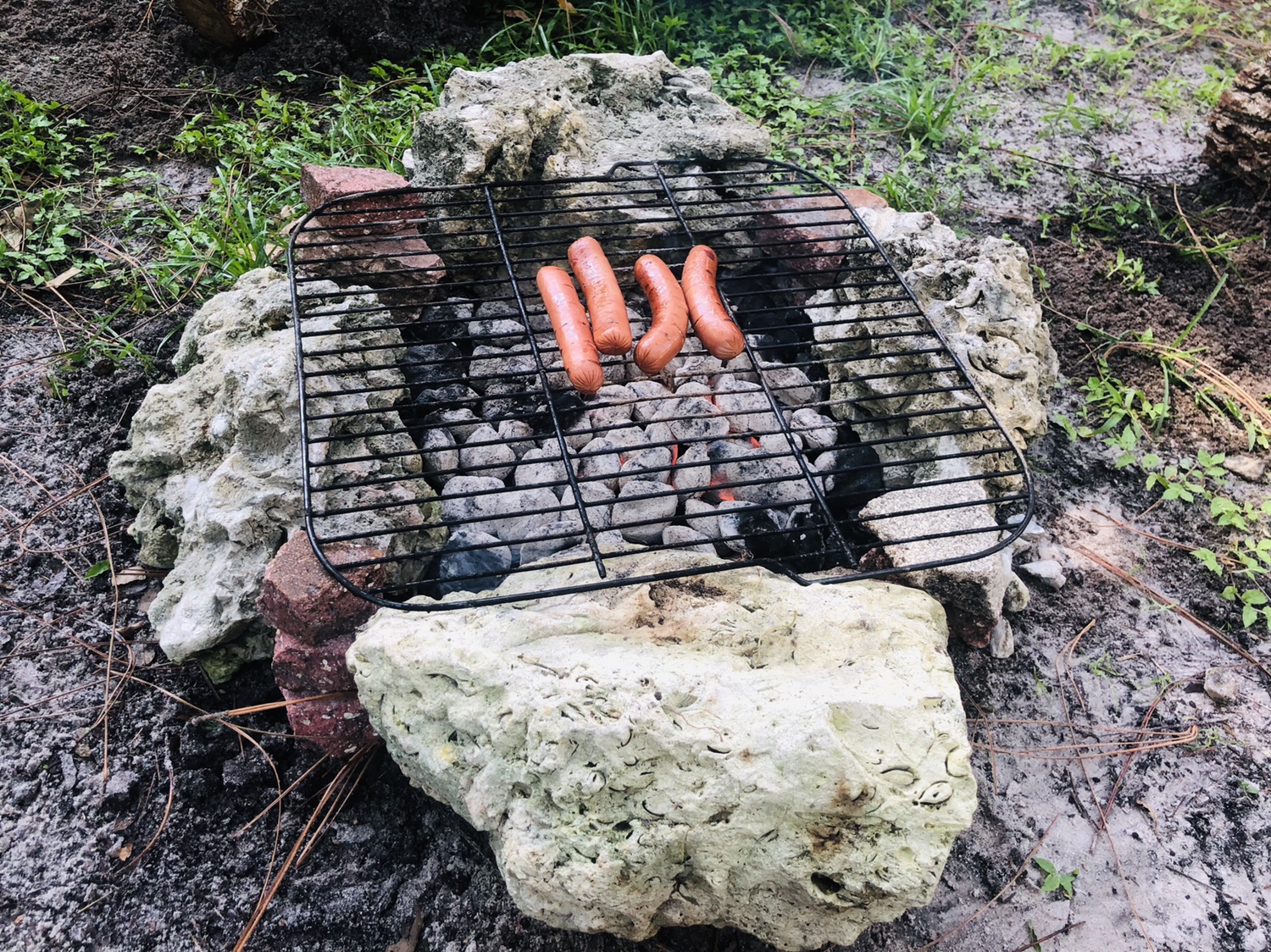 Easy Backyard Fire Pit – House & Homestead