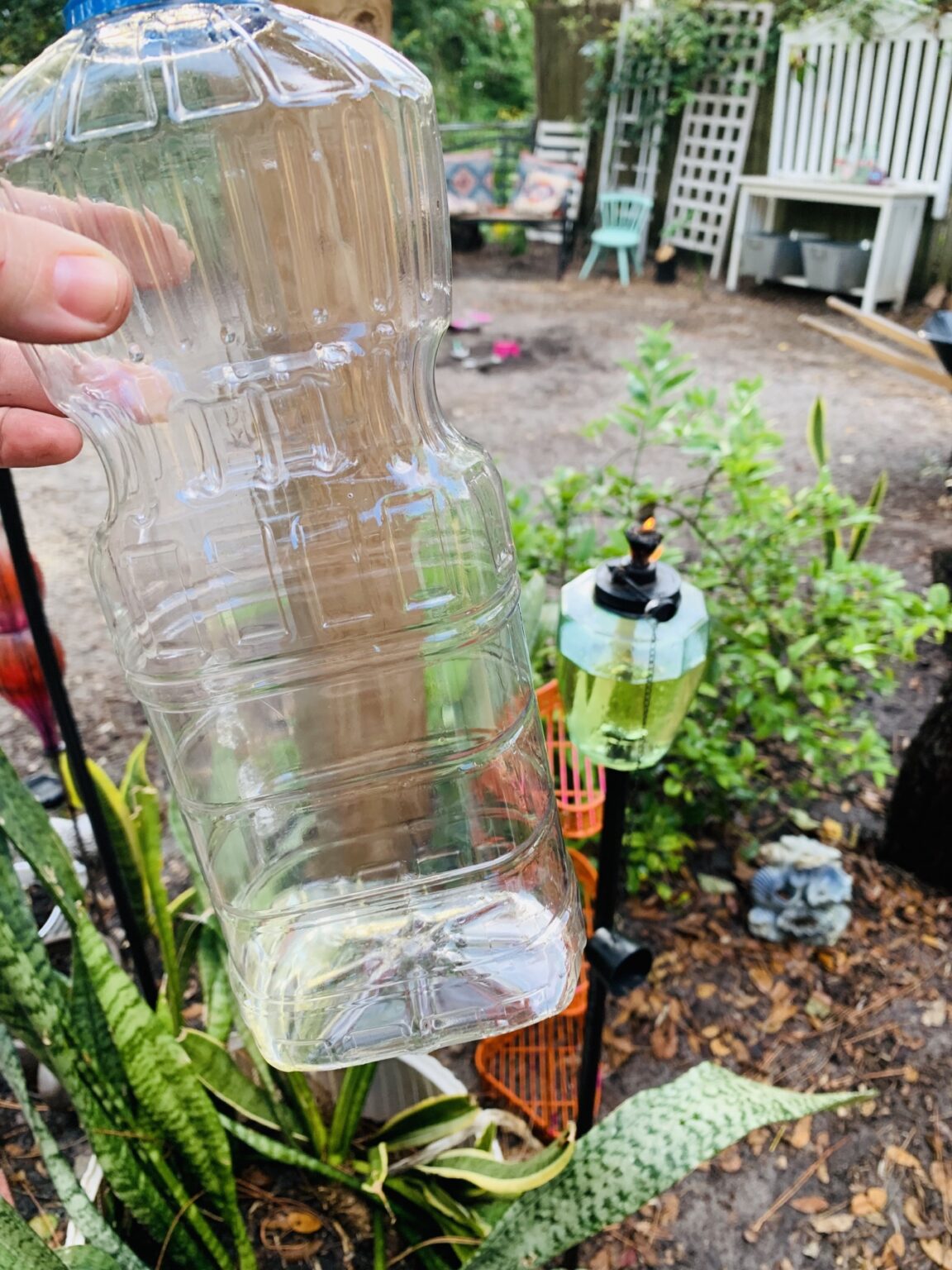 DIY Tiki Torch Fuel Using Vegetable Oil & Bug-Repelling Essential Oils ...