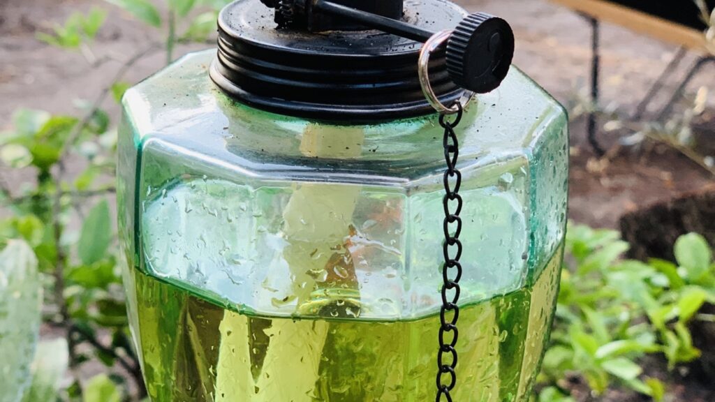 DIY Tiki Torch Fuel Using Vegetable Oil & Bug-Repelling Essential Oils ...