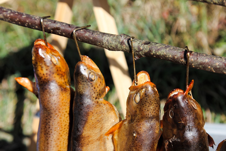 Time-Tested Methods for Food Preservation – Page 2 – House & Homestead