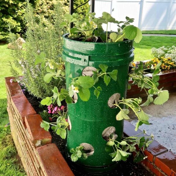 Five 5-Gallon Bucket Hacks: Repurpose Old Buckets - House & Homestead